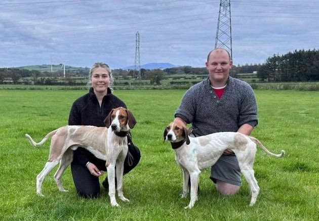 Dearham trail for hounds – cumbriacrack.com
