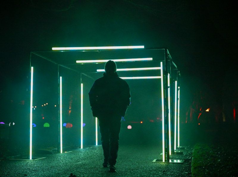 In pictures: Workington Hall sparkles with spectacular light show ...