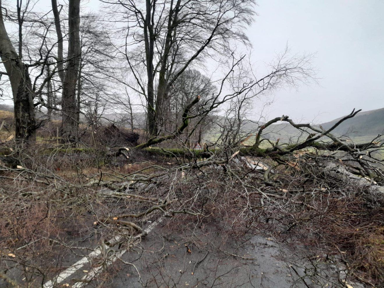 Storm Darragh: Latest updates on power cuts, flood alerts, roads and ...
