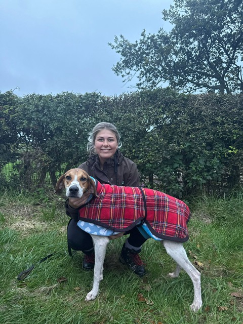 Race for hounds senior title hots up – cumbriacrack.com