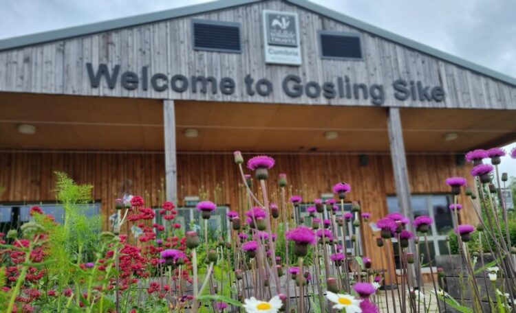 Cumbrian wildlife garden wins European accolade – cumbriacrack.com