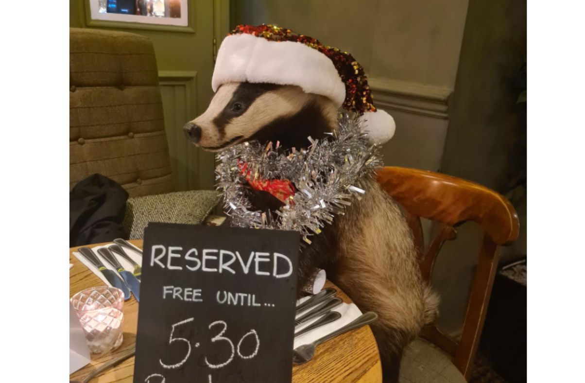 Stuffed badger stolen from Lake District hotel – cumbriacrack.com