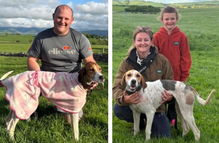 14th win of season for Silver Dream at Bridekirk – cumbriacrack.com